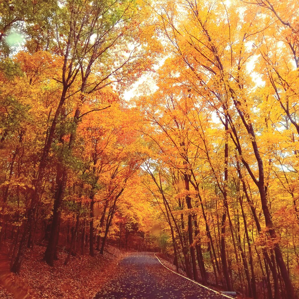 Fall and Halloween in Branson, Mo - Bavarian Village Resort